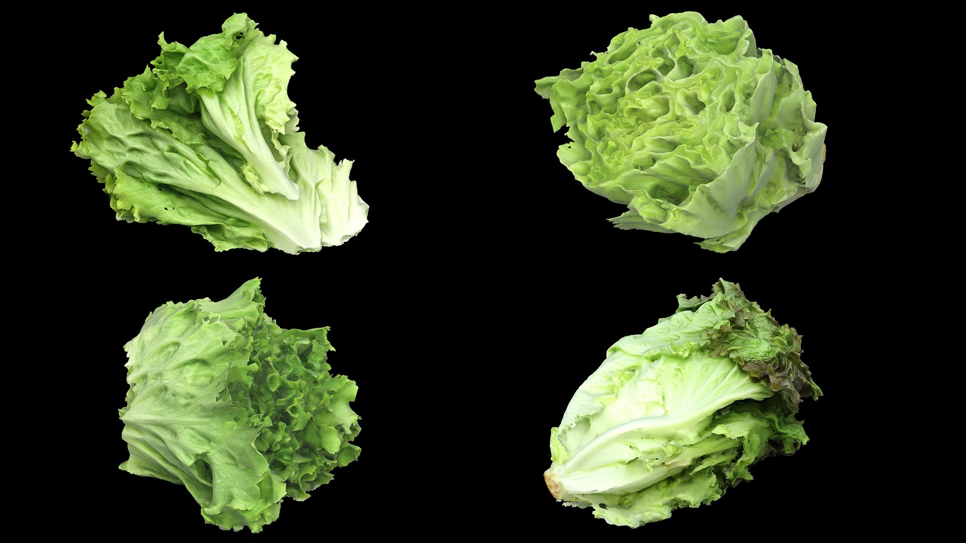 3D Salad Collection 05 Model - TurboSquid 1810782