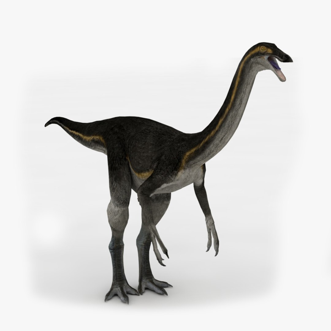 Gallimimus Gold 3D Model - TurboSquid 2293847