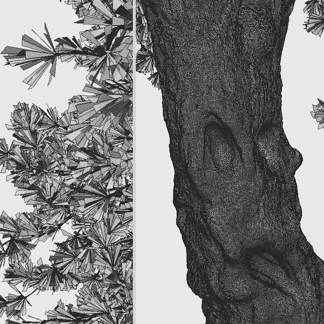 3D Model Set Of Larix Kaempferi Or Japanese Larch Tree - 2 Trees ...