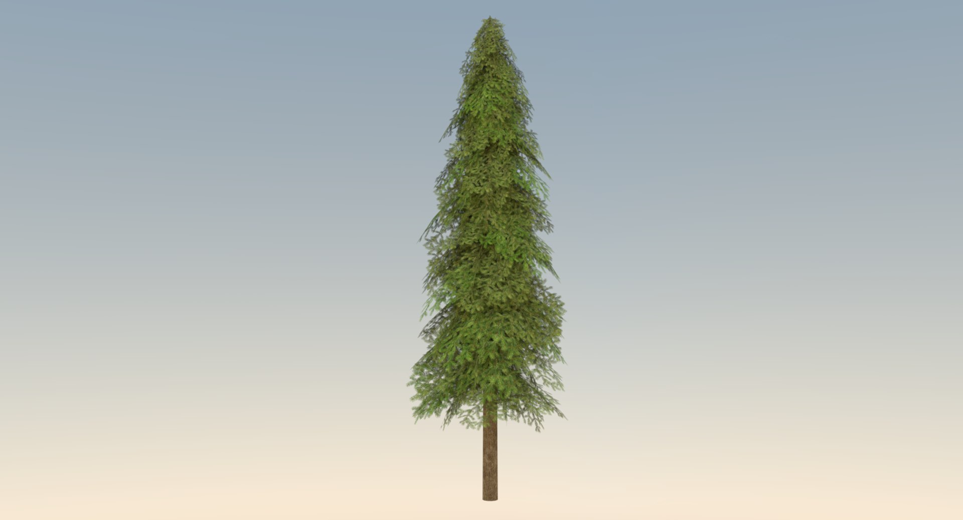 3D Fir Tree - TurboSquid 1198507