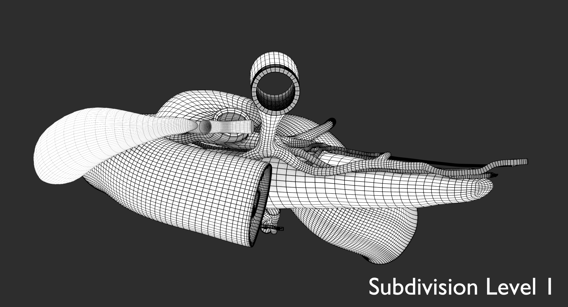 Pancreas anatomical 3D model - TurboSquid 1161334