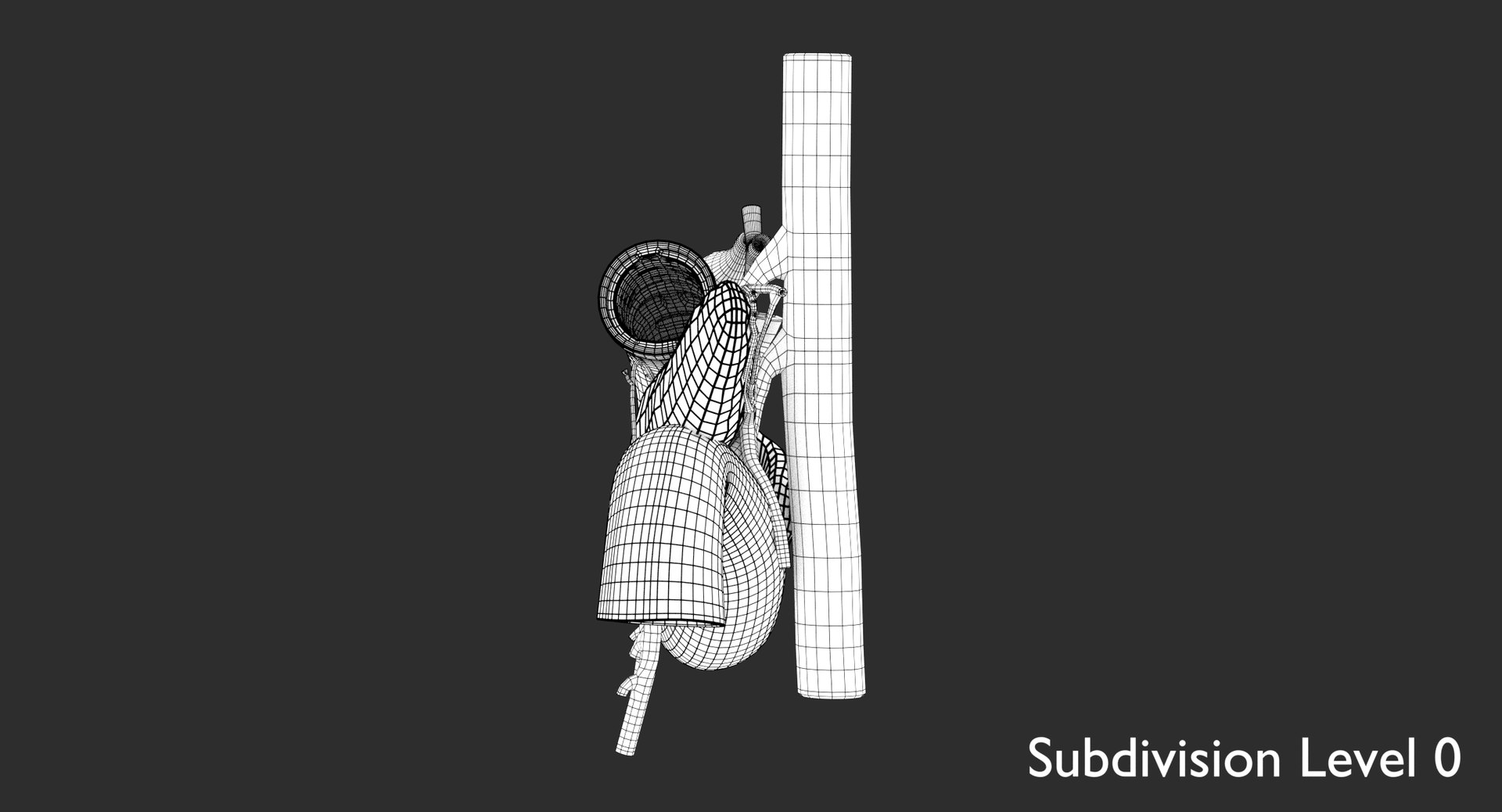 Pancreas anatomical 3D model - TurboSquid 1161334
