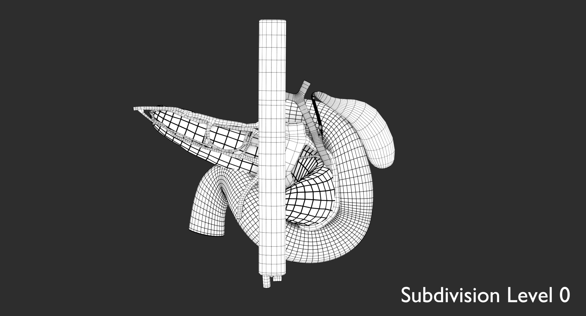 Pancreas anatomical 3D model - TurboSquid 1161334