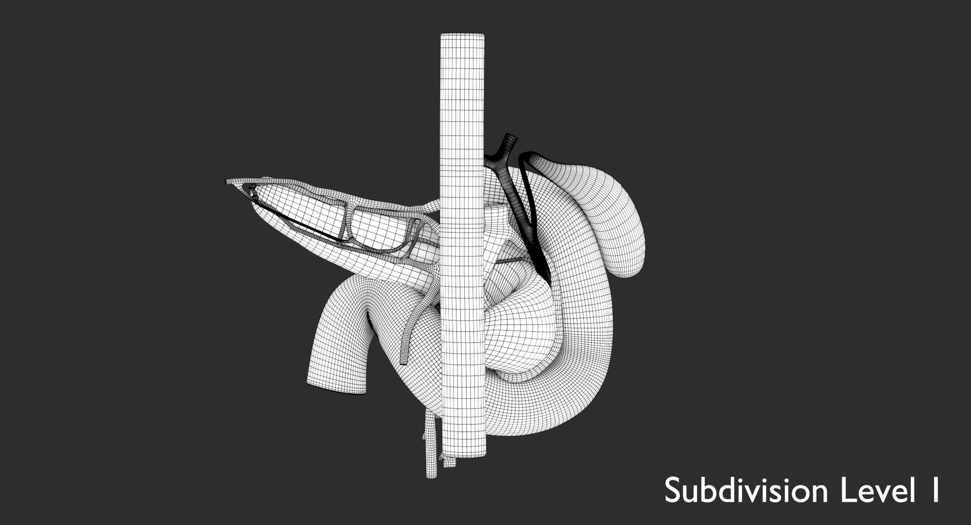 Pancreas anatomical 3D model - TurboSquid 1161334