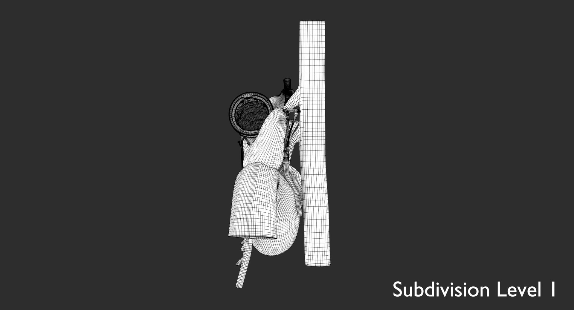 Pancreas anatomical 3D model - TurboSquid 1161334