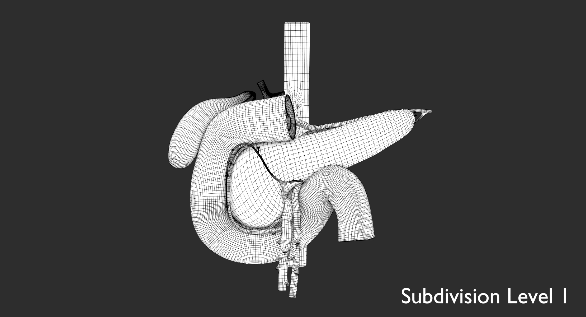 modèle 3D de Modèle anatomique de pancréas humain - TurboSquid 1161334