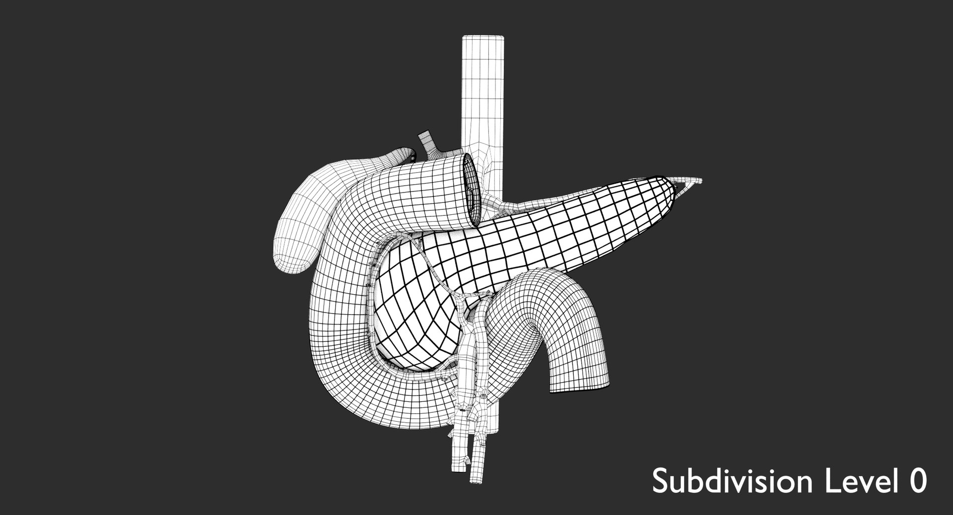 Pancreas anatomical 3D model - TurboSquid 1161334