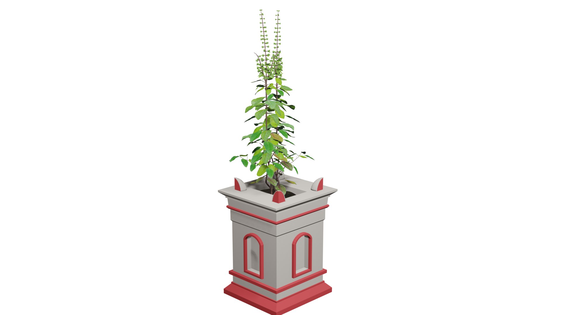 Basil Tree 3D - TurboSquid 2023938