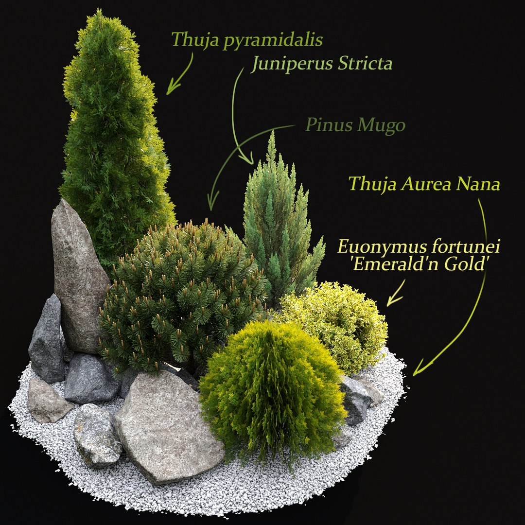 3D Rockery Alpine Hill V1 - TurboSquid 1968957