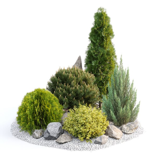 Arborvitae 3D Models for Download | TurboSquid