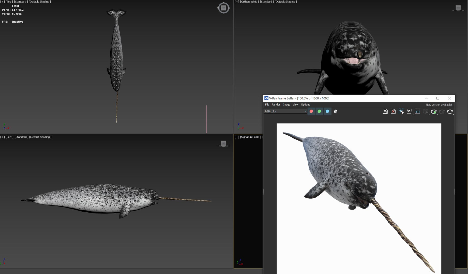 Narwhal Static 3D - TurboSquid 2006072