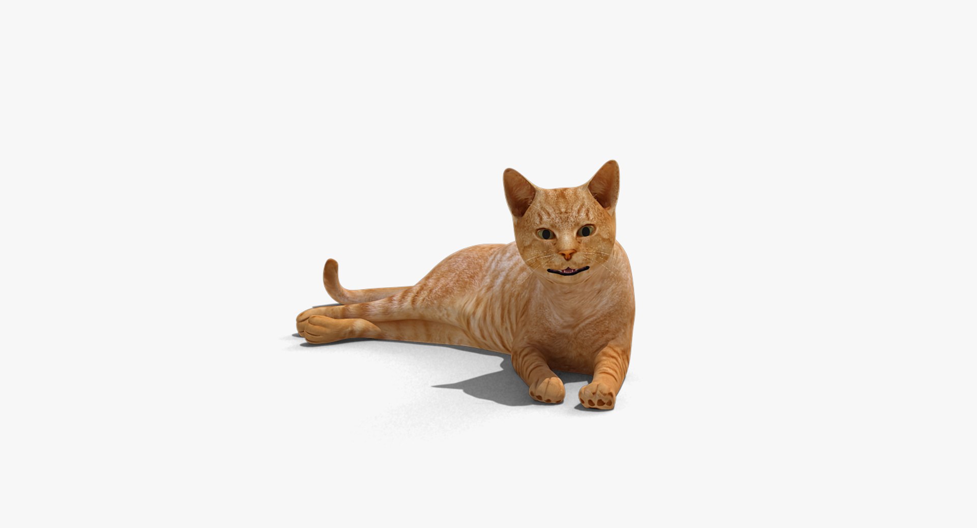 rigged domestic cat 3d model
