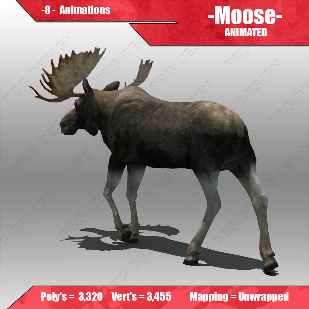 3d Moose Animations Model
