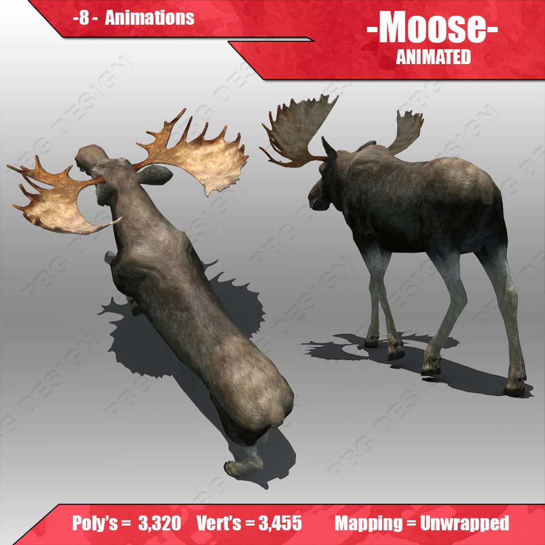3d Moose Animations Model