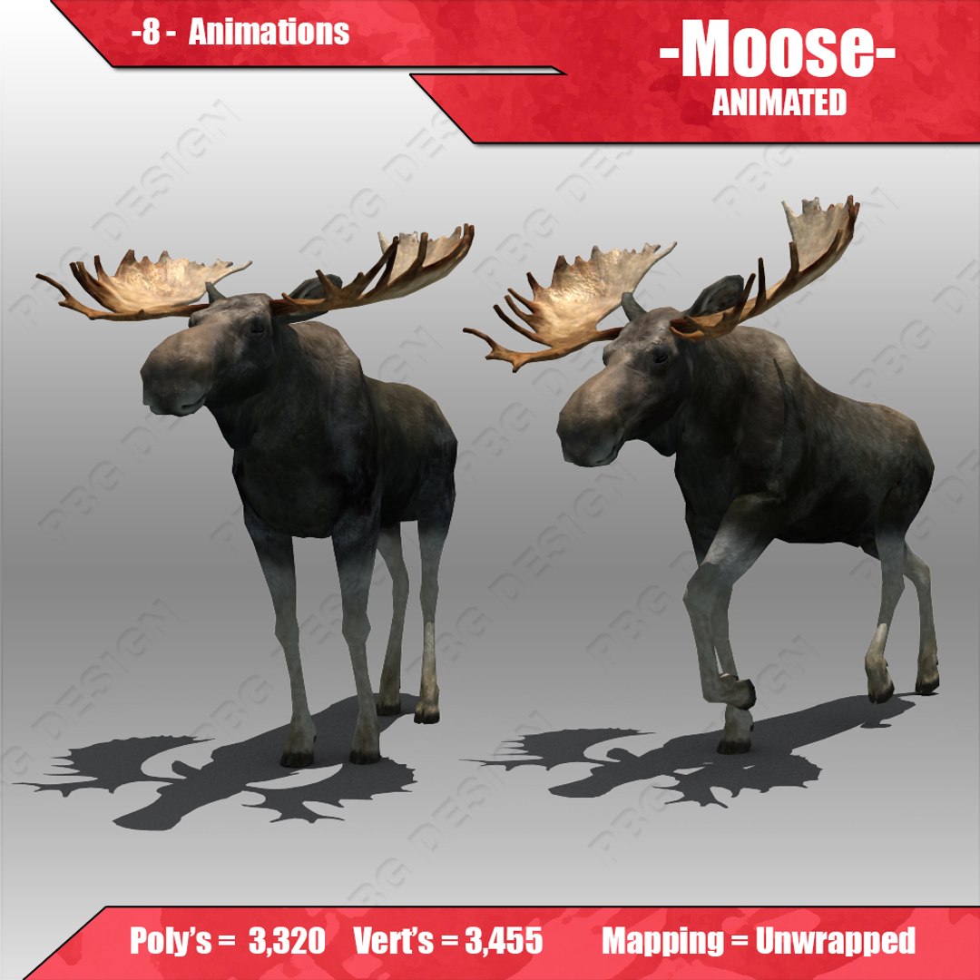 3d Moose Animations Model
