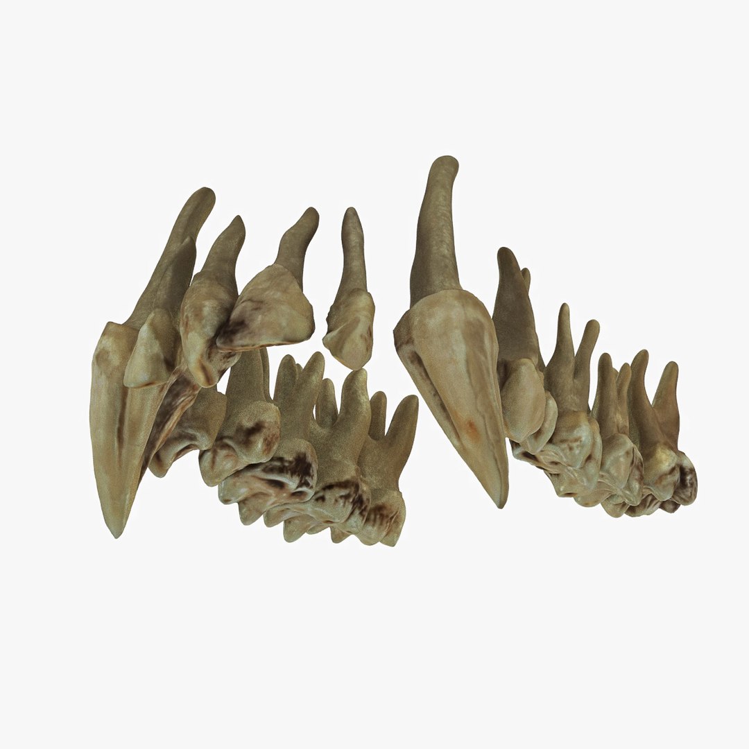 3d gorilla skull