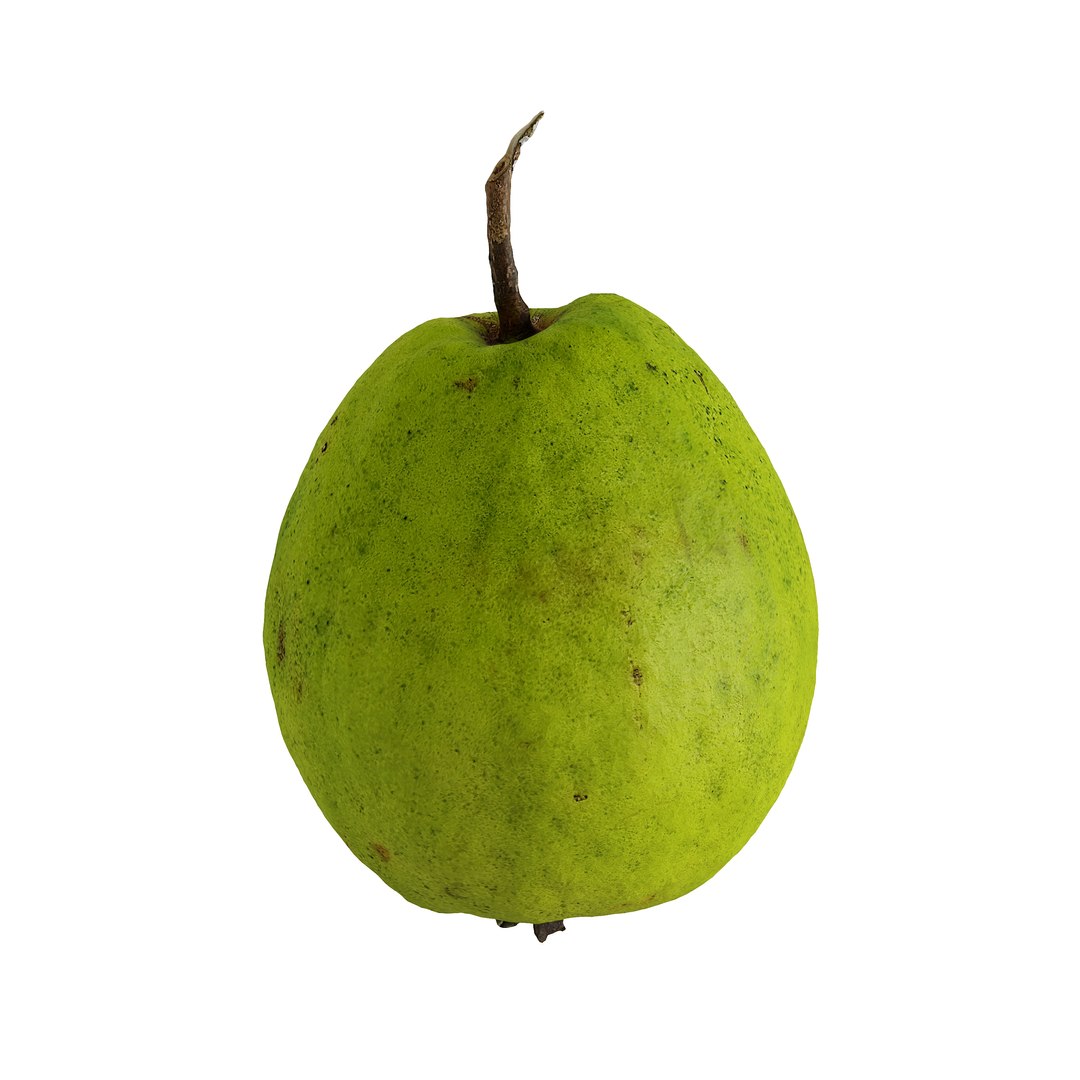 3D Model Guava - TurboSquid 2069972