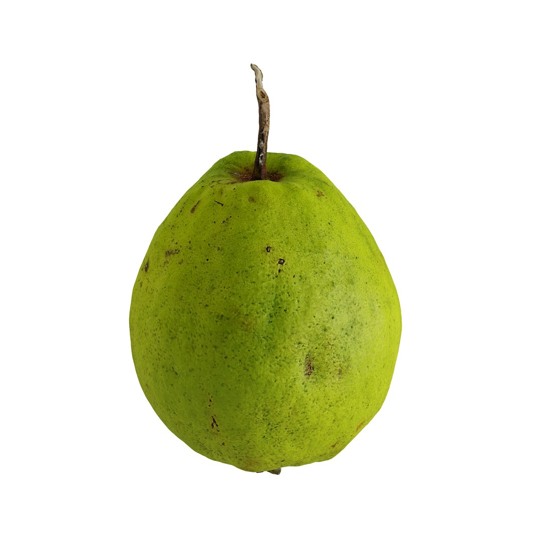 3D Model Guava - TurboSquid 2069972