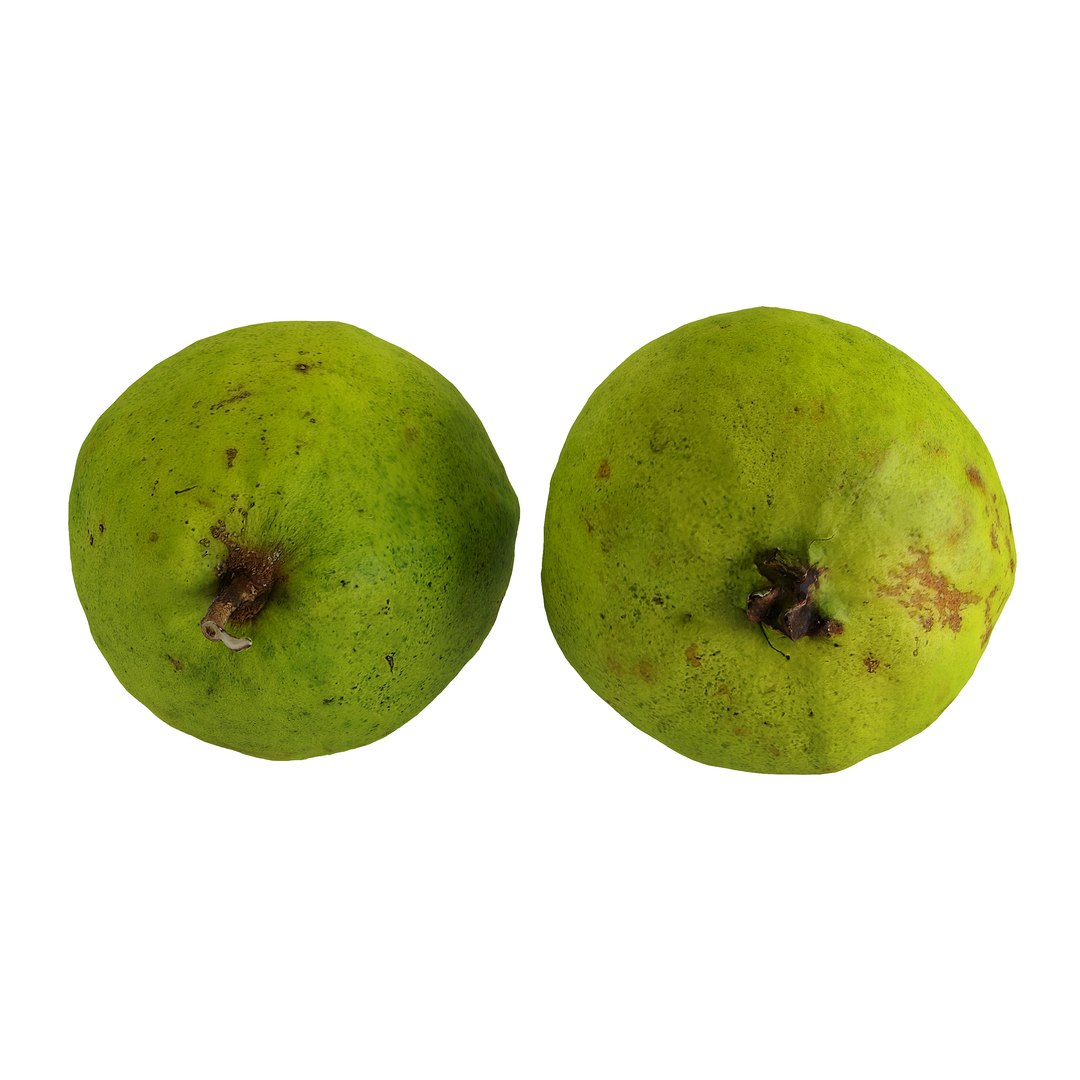 3D Model Guava - TurboSquid 2069972