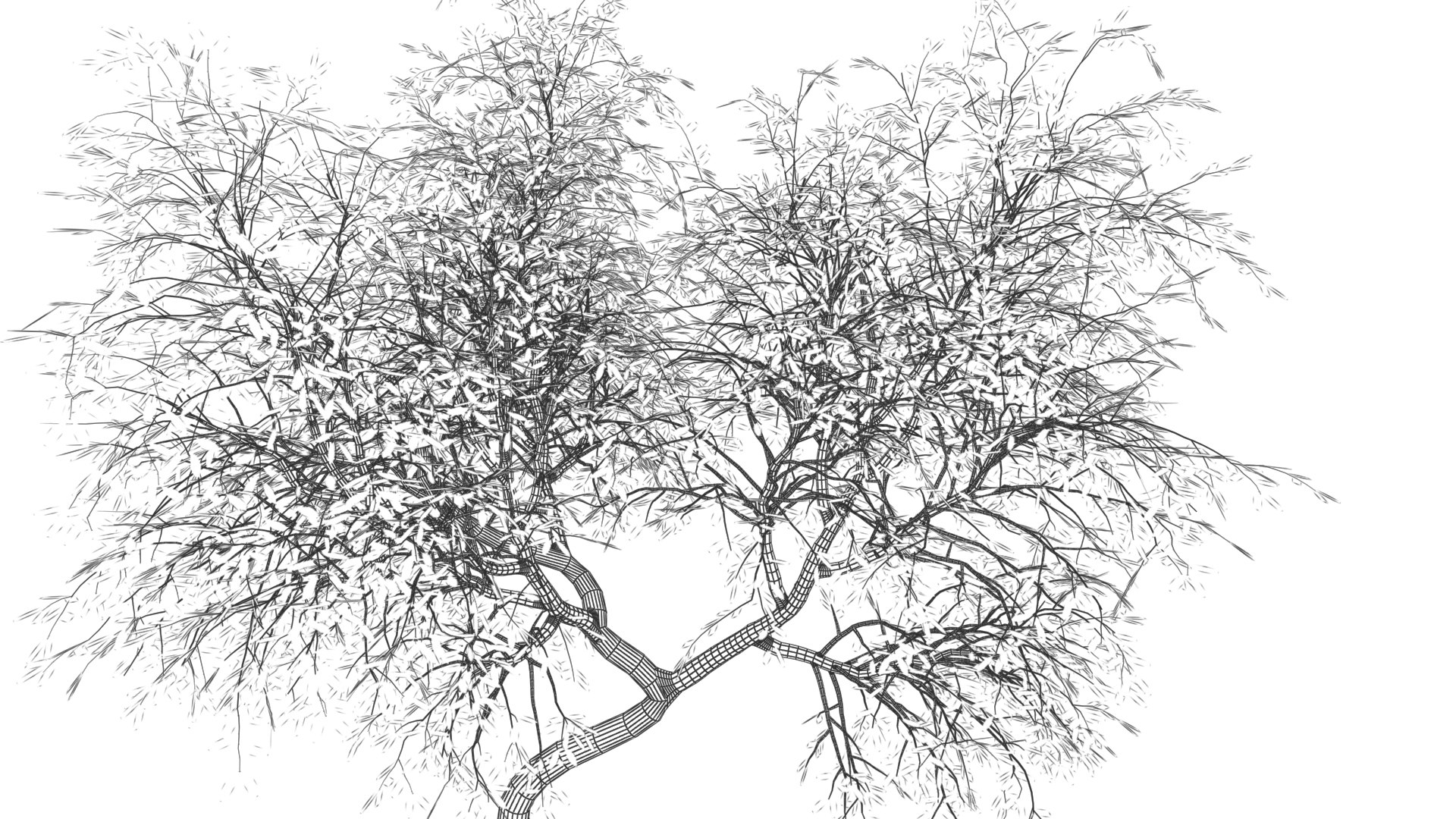 Free Yalda Tree 7 3D Model - TurboSquid 2267667