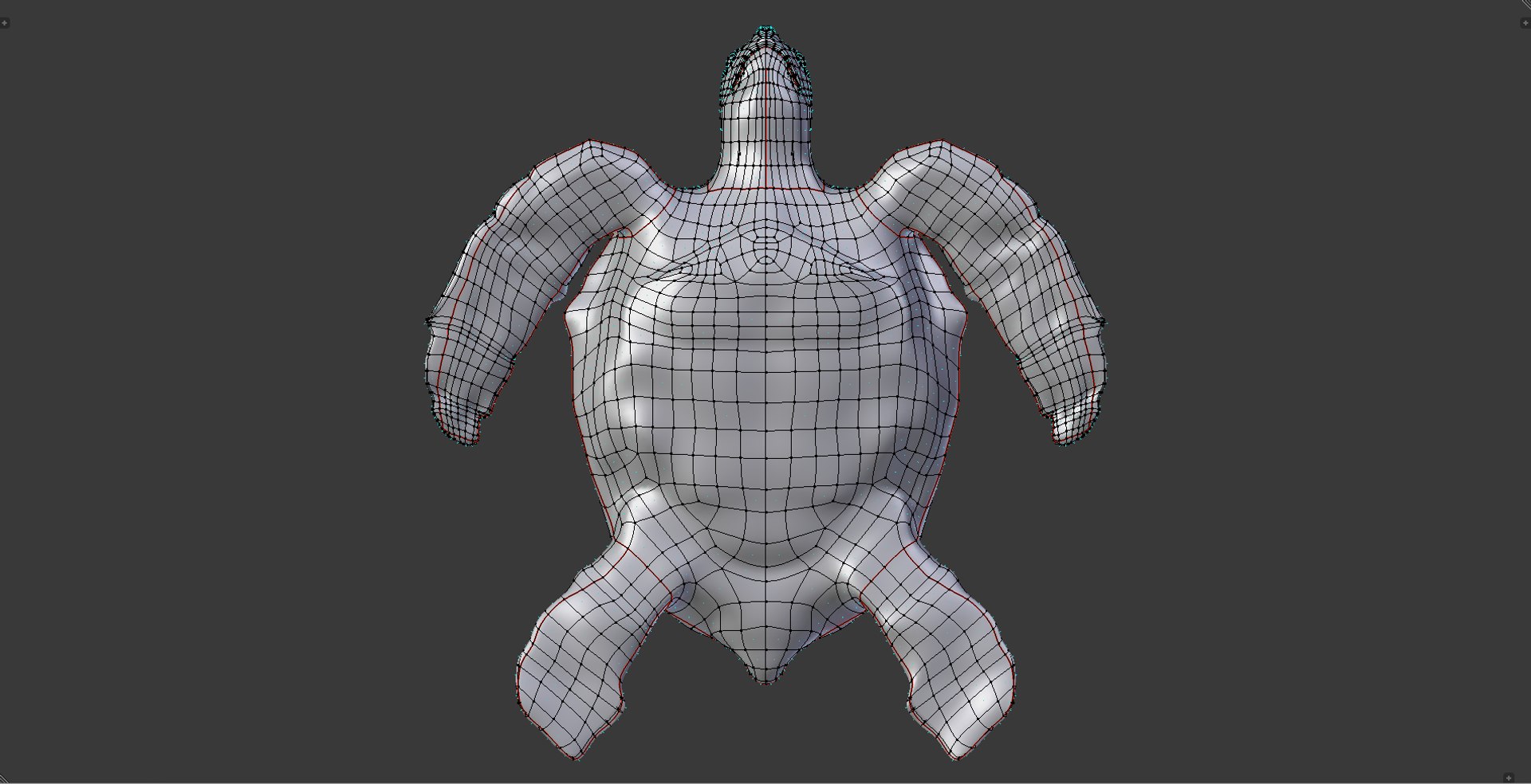 Loggerhead Sea Turtle 3d Model