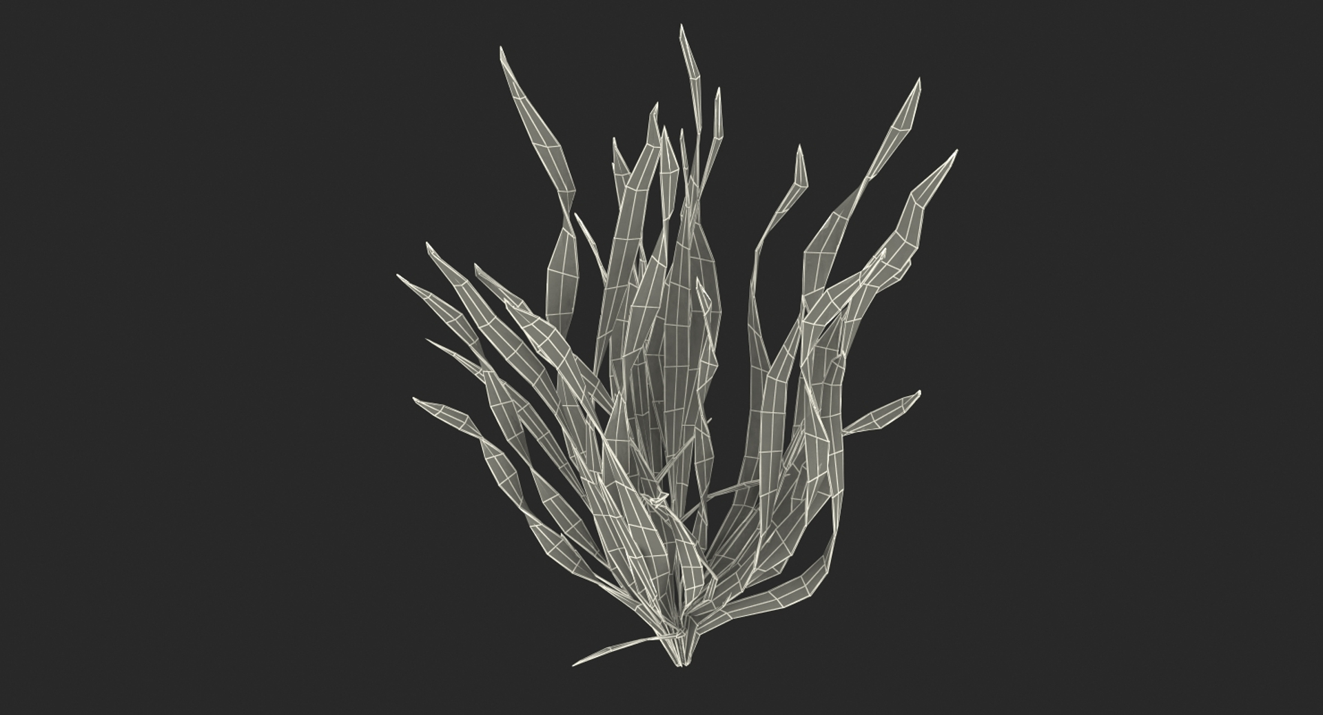 Eel Aquarium Grass 3D Model - TurboSquid 1286725
