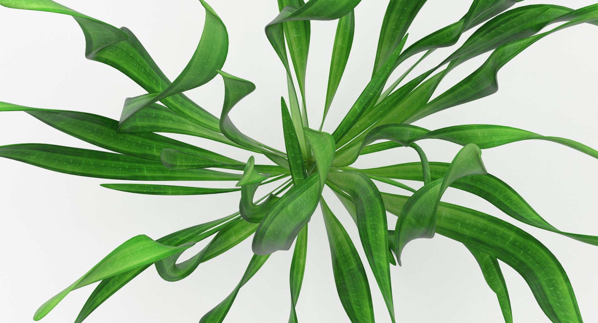Eel Aquarium Grass 3D Model - TurboSquid 1286725