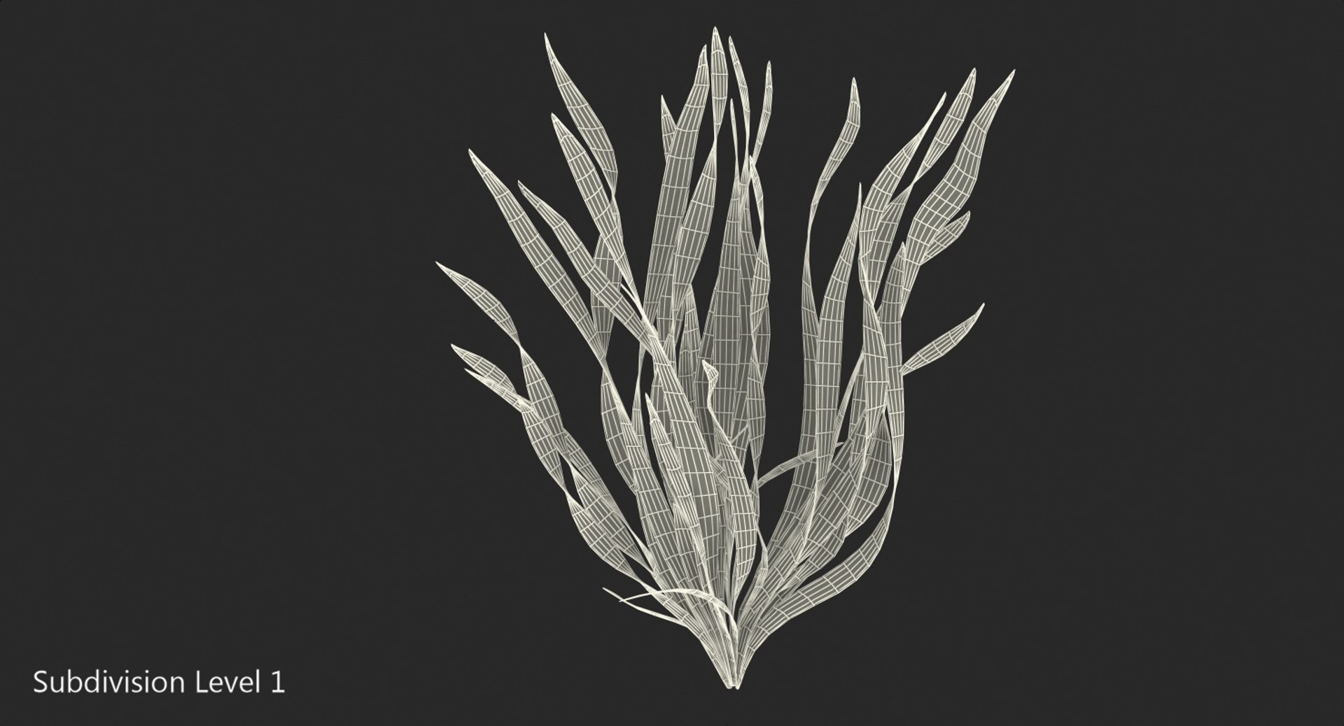 Eel Aquarium Grass 3D Model - TurboSquid 1286725