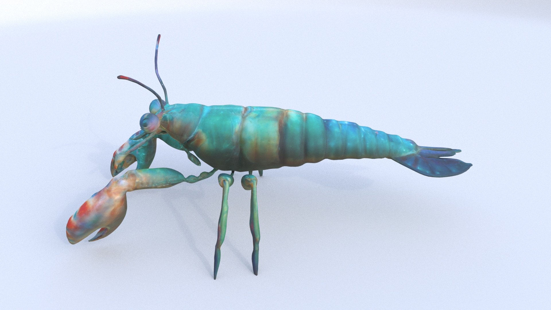 Mantis Shrimp 3D - TurboSquid 2338819