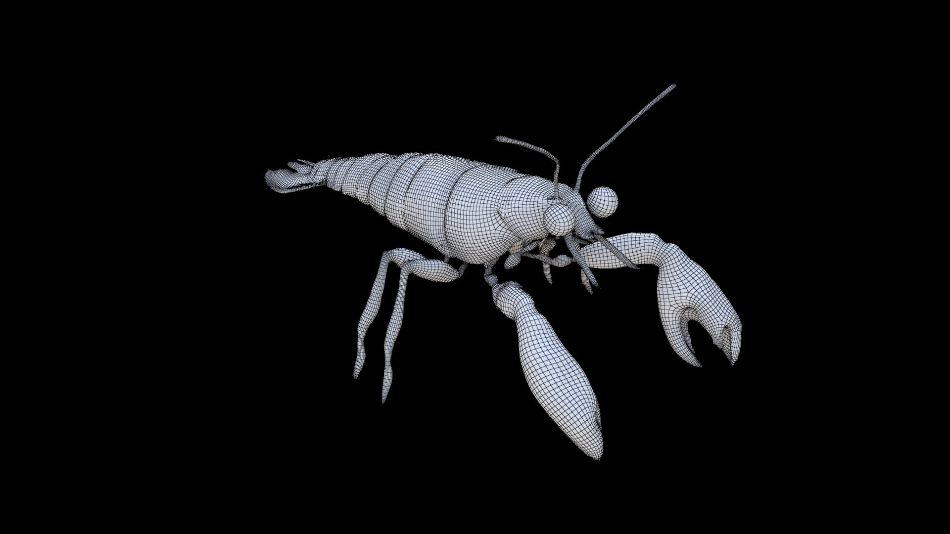 Mantis Shrimp 3D - TurboSquid 2338819