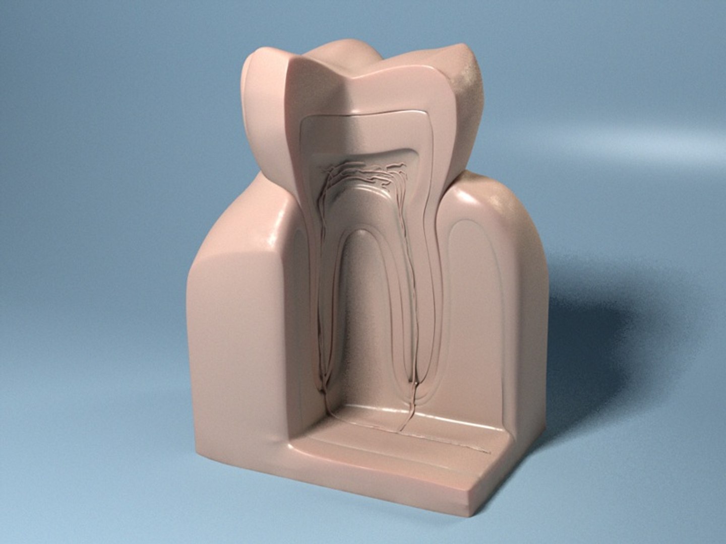 Obj Tooth Cross Section