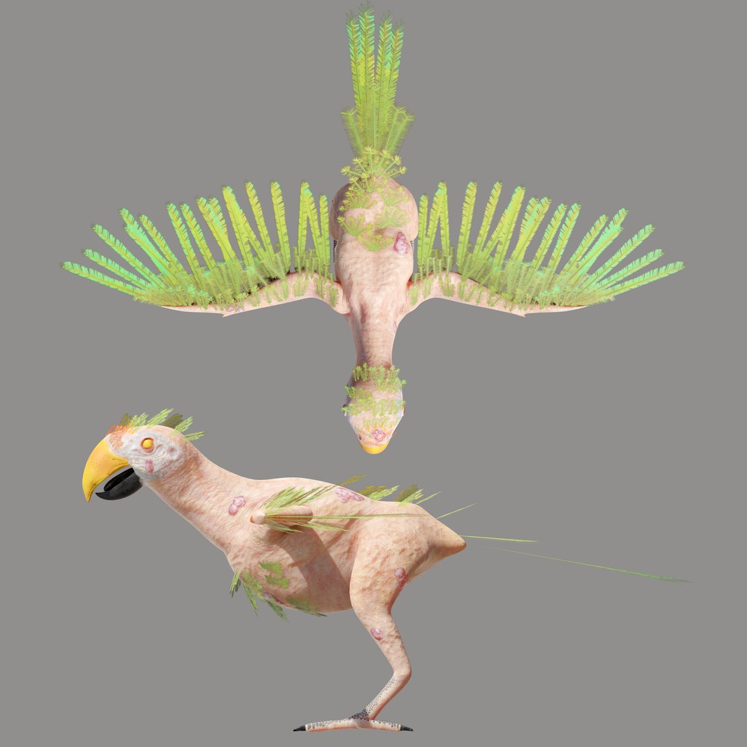 Mutant Macaw 3D Model - TurboSquid 2008834