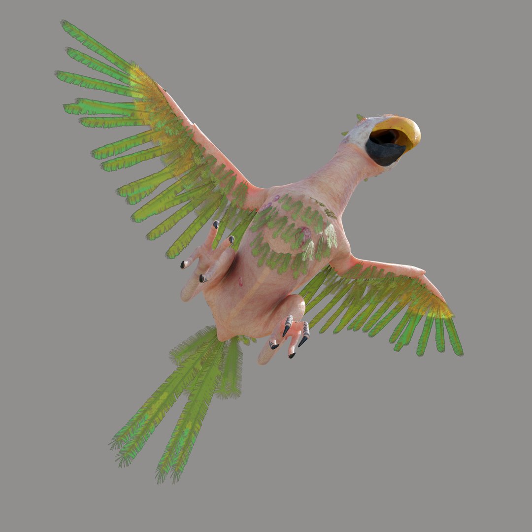 Mutant Macaw 3D Model - TurboSquid 2008834