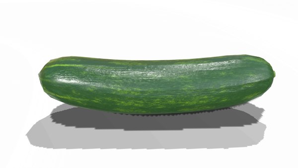 modelo 3d Cucumber - TurboSquid 2052205