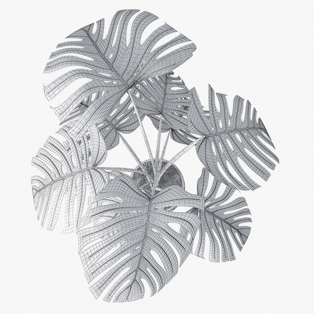 3D Monstera Pot Model - TurboSquid 1317404
