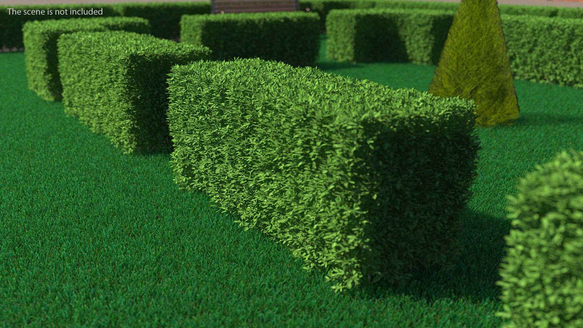 3D Boxwood Hedge - TurboSquid 1574954