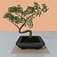 3d Model Bonsai Tree