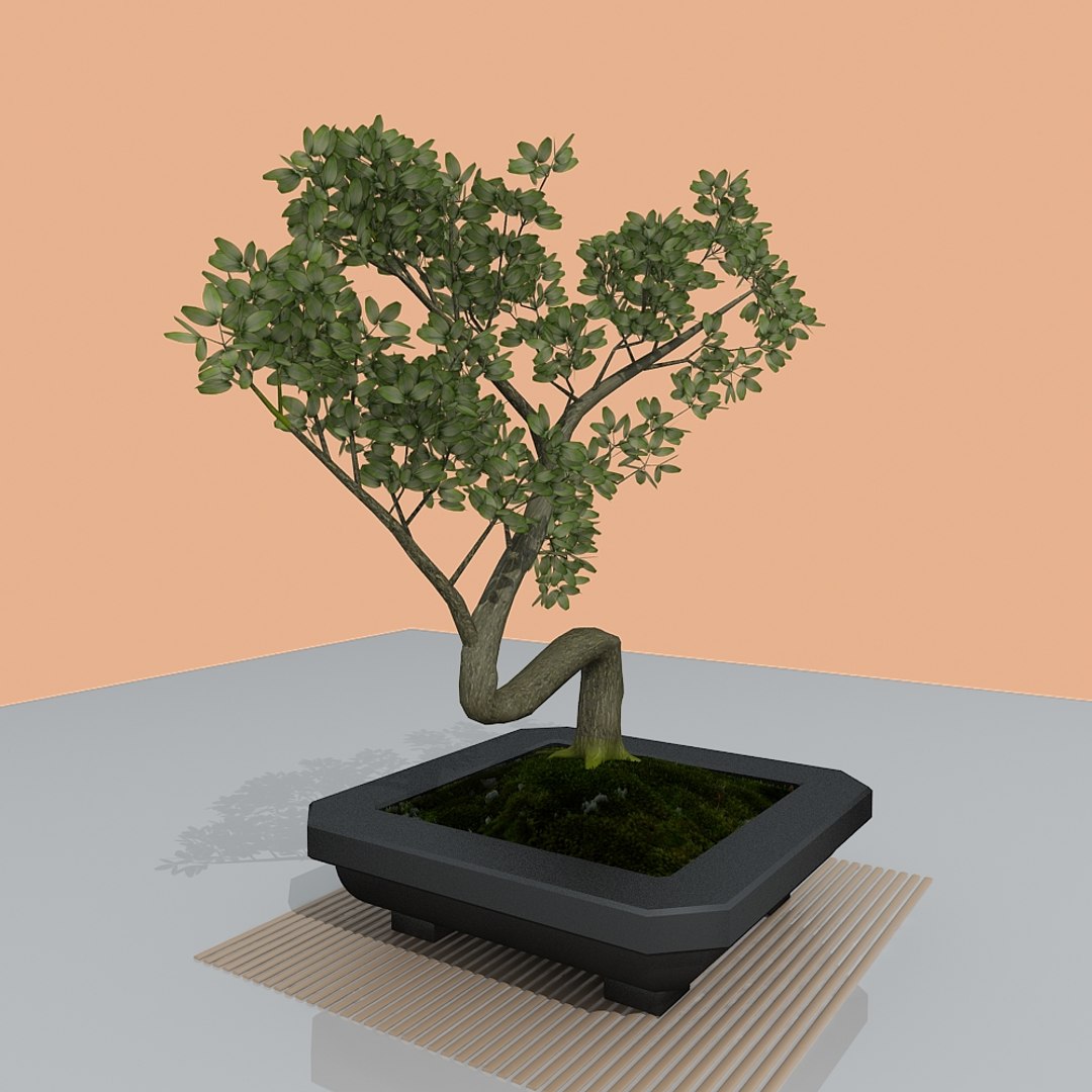 3d Model Bonsai Tree