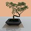 3d Model Bonsai Tree