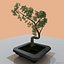 3d Model Bonsai Tree