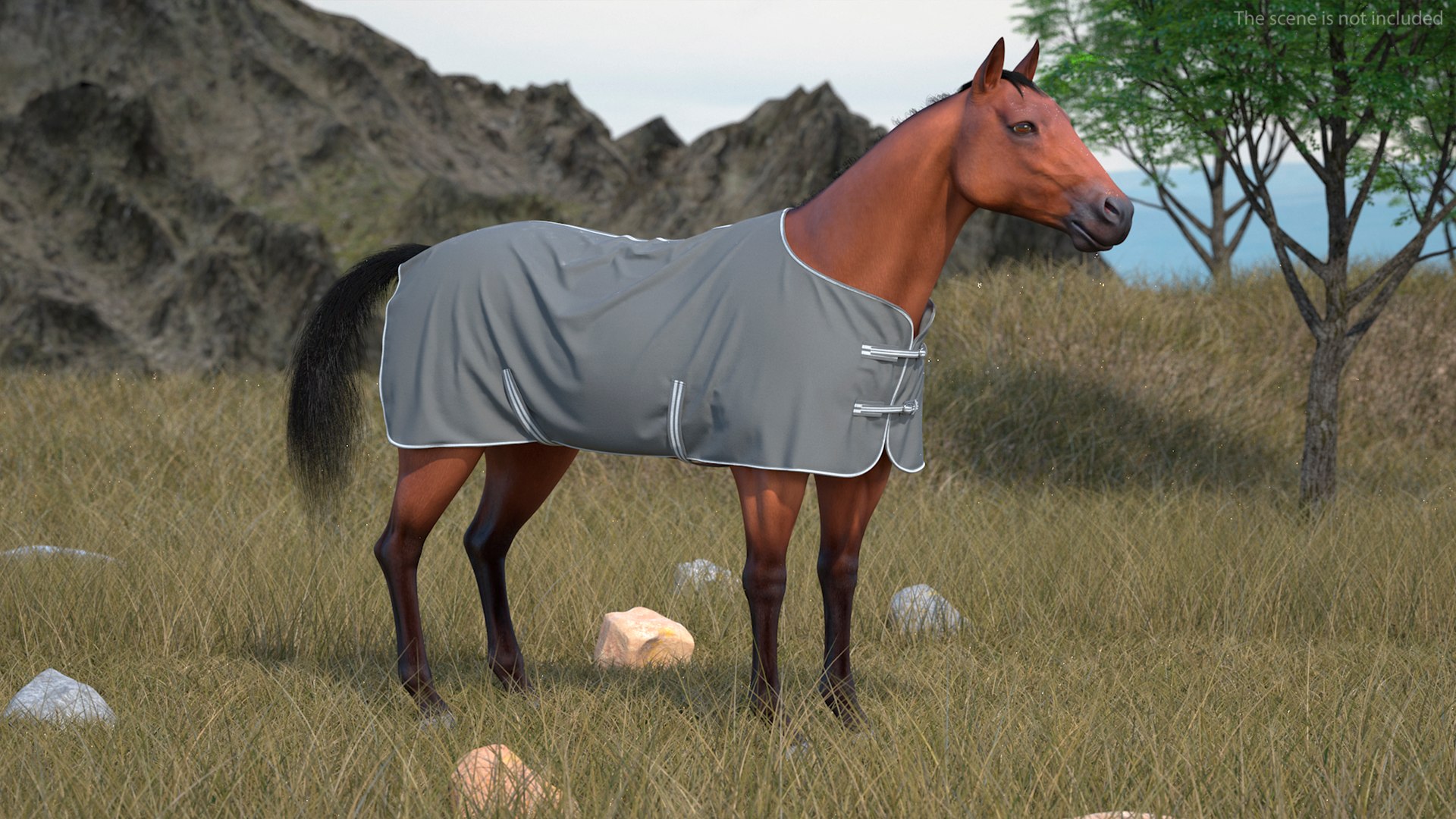 3D Grey Fleece Horse Rug Model - TurboSquid 2140992