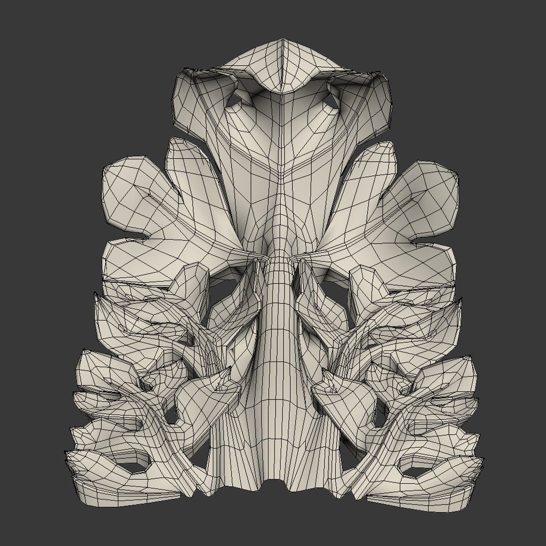 acanthus max