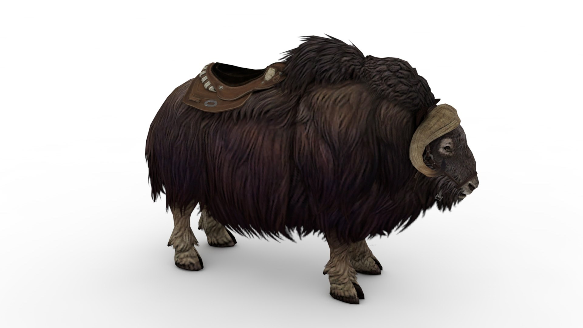 3D Musk Ox - TurboSquid 1839503