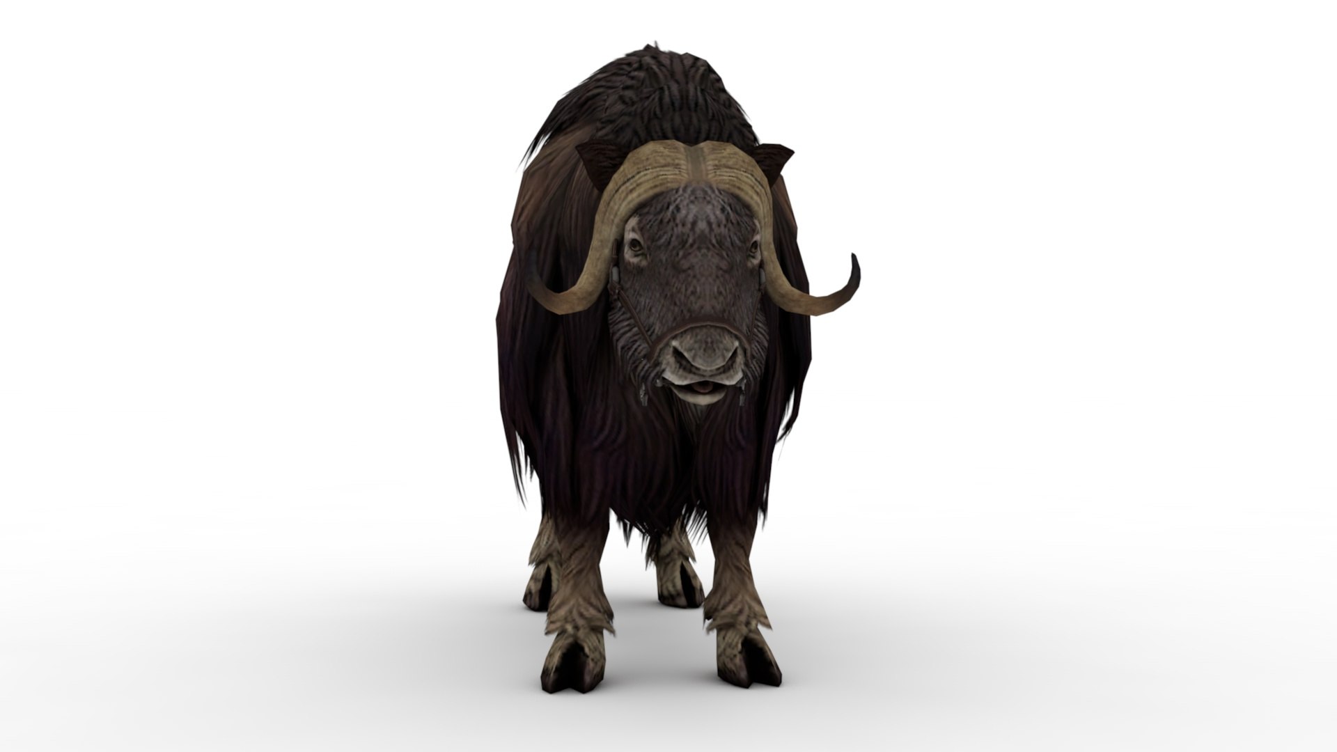 3D Musk Ox - TurboSquid 1839503