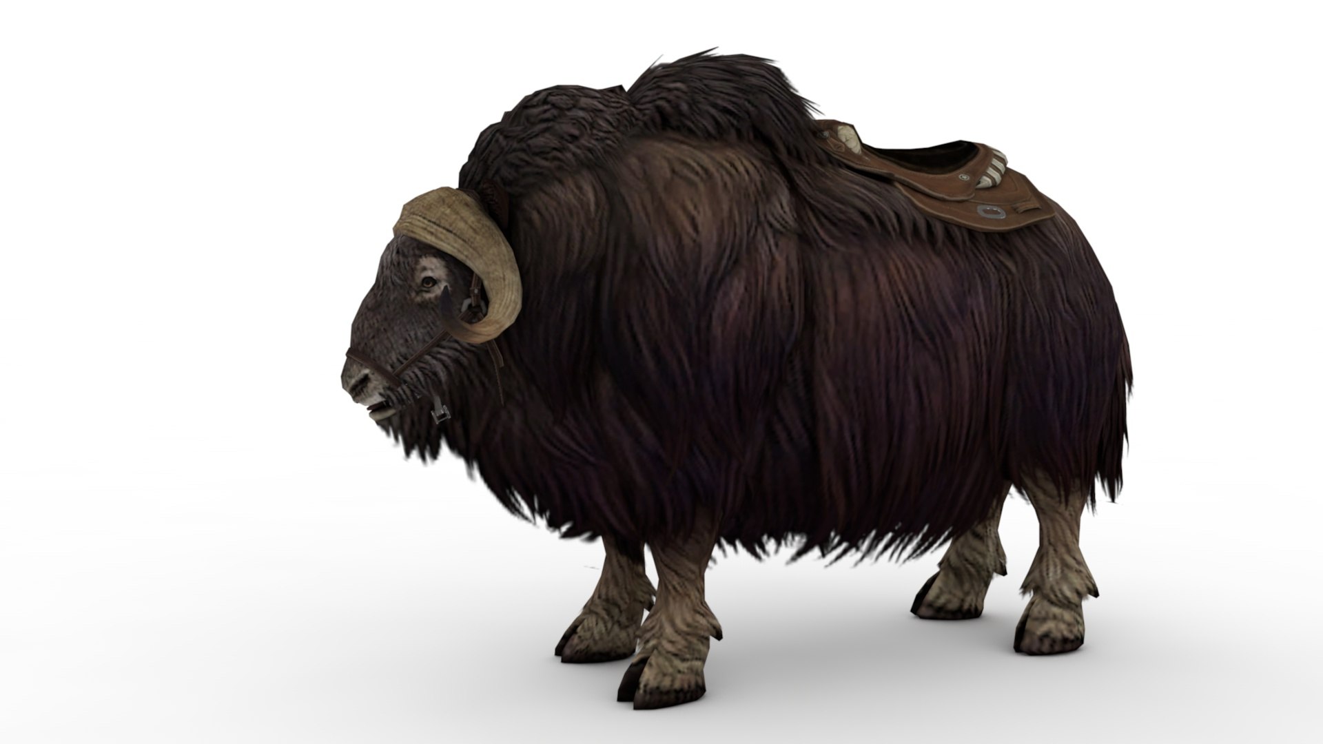 3D Musk Ox - TurboSquid 1839503