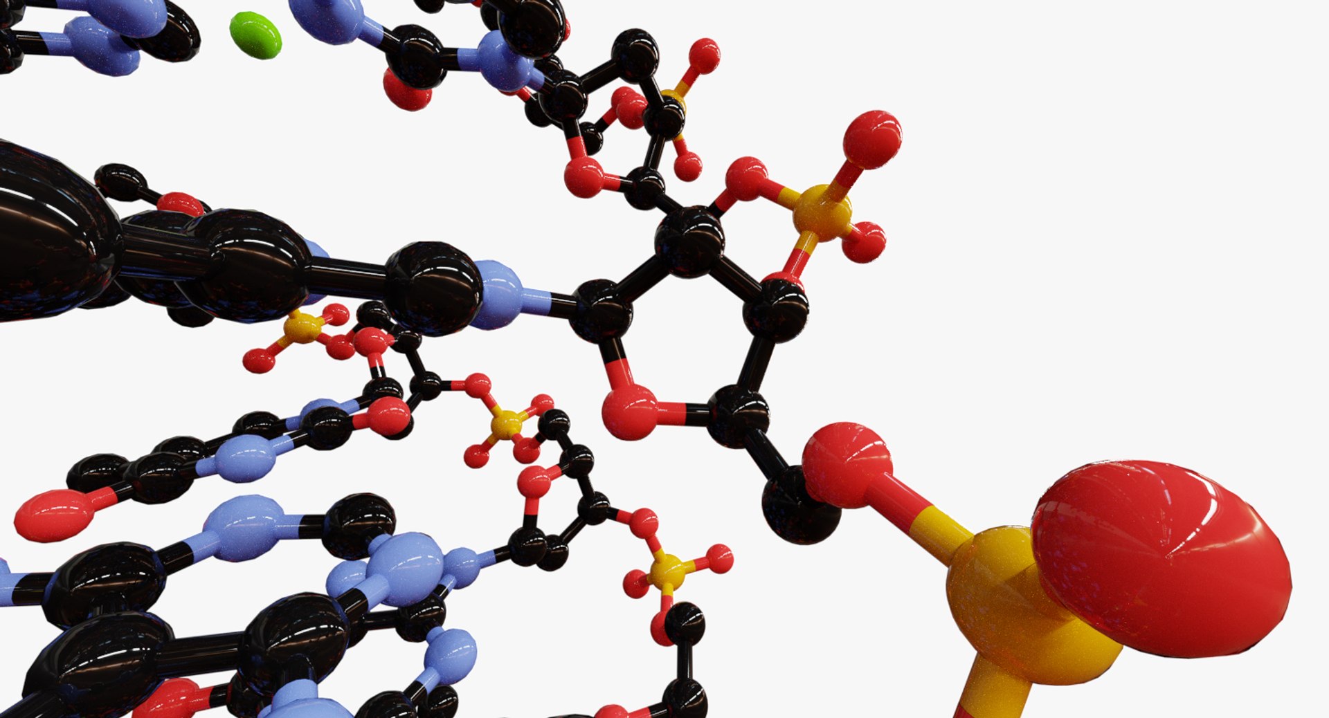 3D Model Double Helix Dna Molecule - TurboSquid 1161814