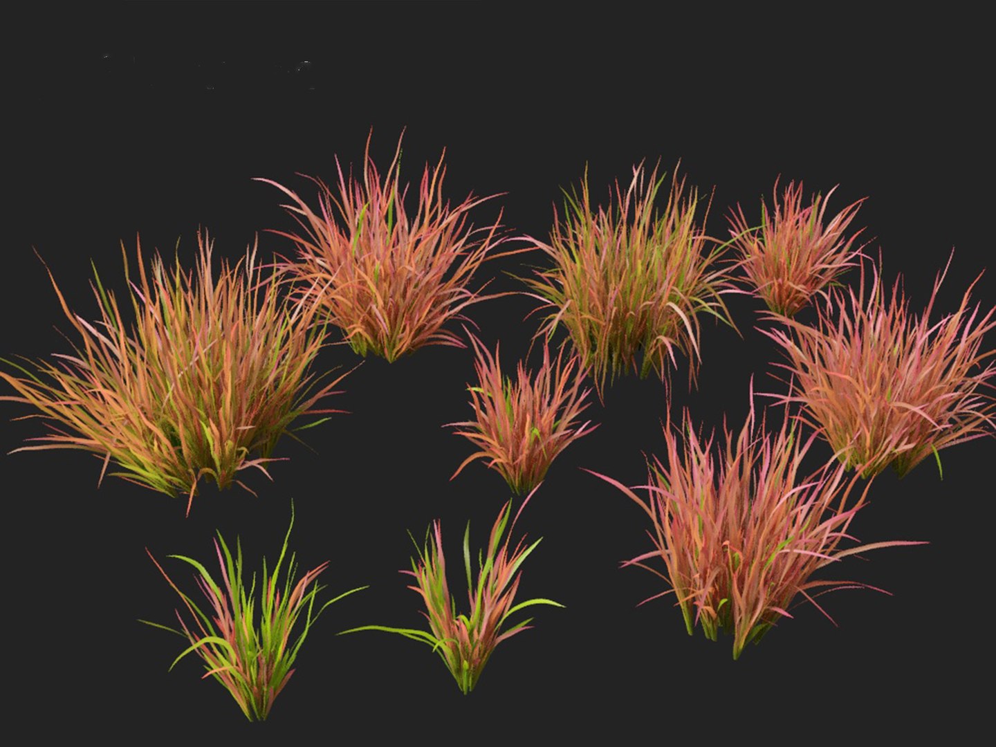 Imperata Cylindrica Red Baron013Ds Max 3D Model - TurboSquid 2170436