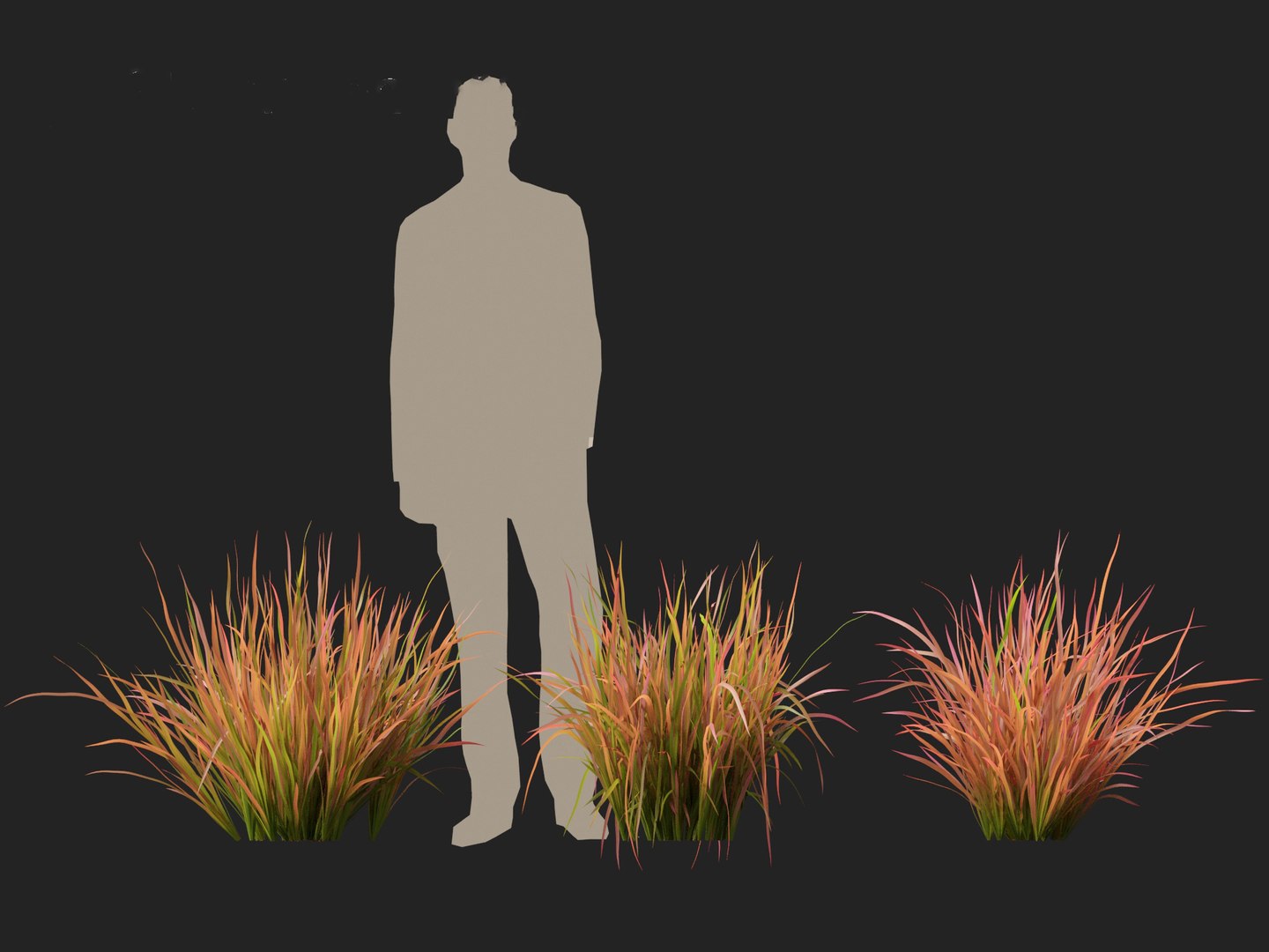 Imperata Cylindrica Red Baron013Ds Max 3D Model - TurboSquid 2170436