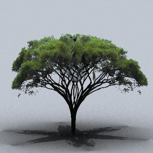 tree 3d model