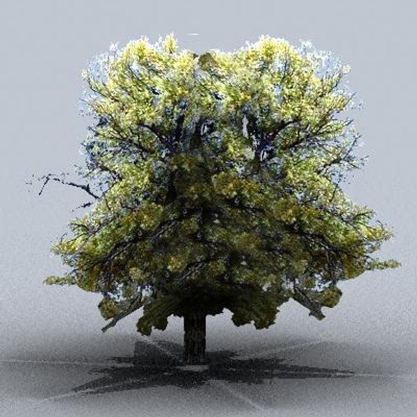 tree 3d model